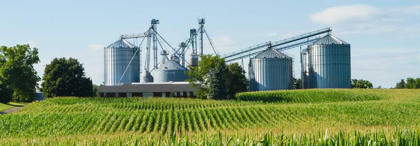 Welcome to Logan Family Farms ! - Logan Family FarmsLogan Family Farms